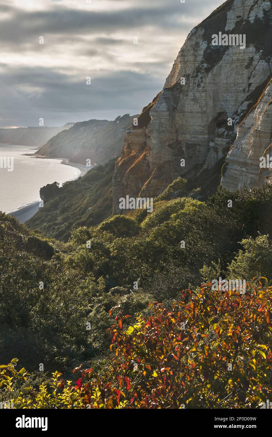 Chalk cliffs and valley in "The Hooken"; East Devon coast; South West ...