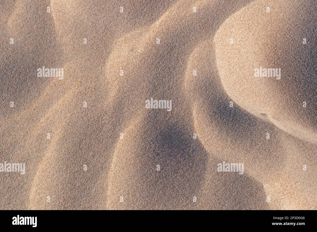 Background image of Round shapes in the sand in the sunlight Stock ...