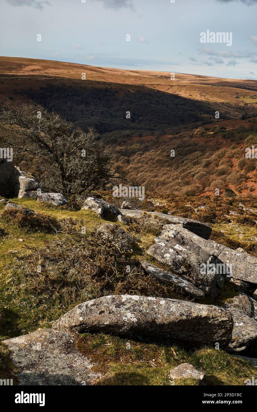 Dartmoor landscape; valley of the River Dart and surrounding moorland ...