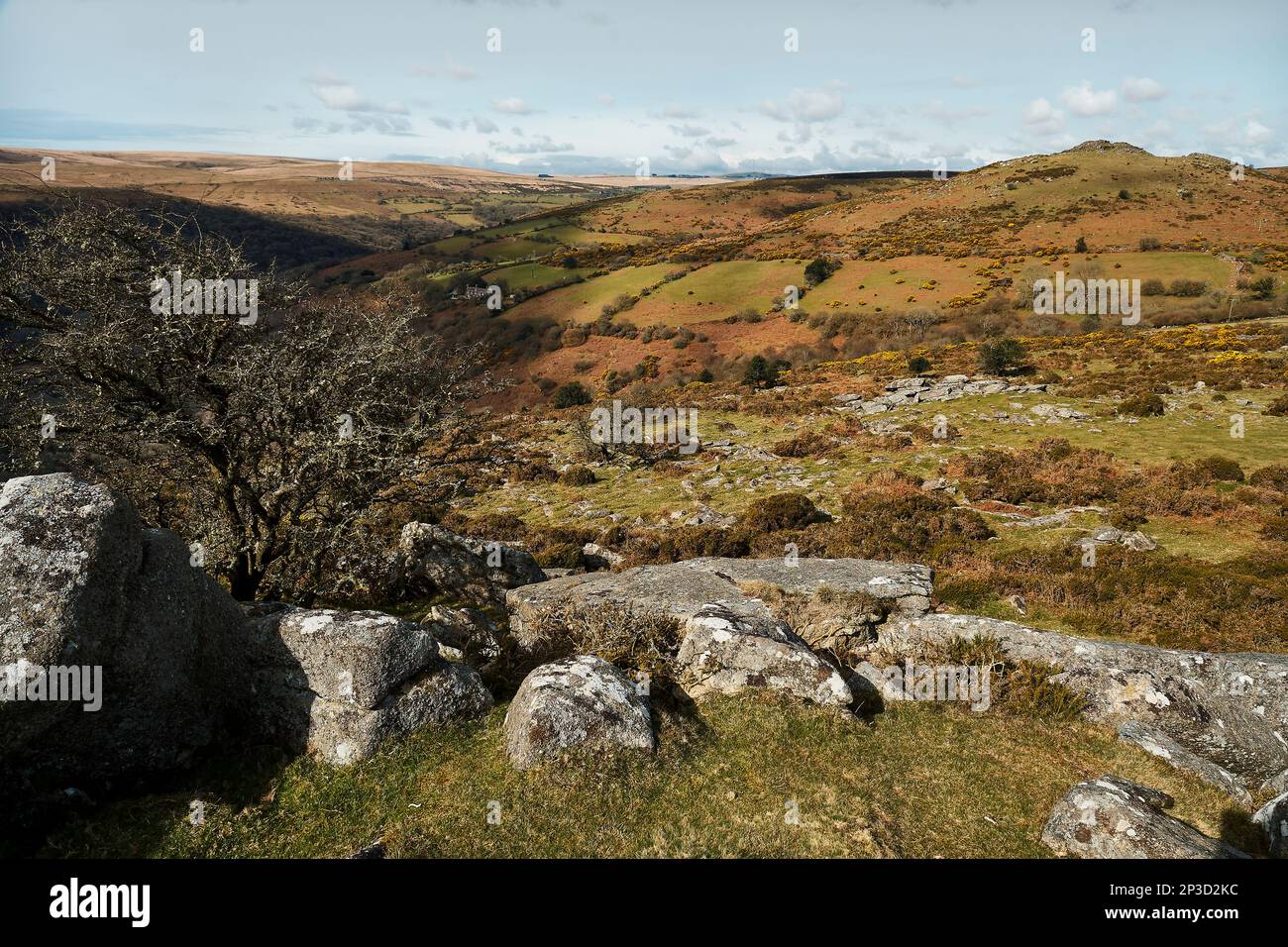 Dartmoor landscape; valley of the River Dart and surrounding moorland ...