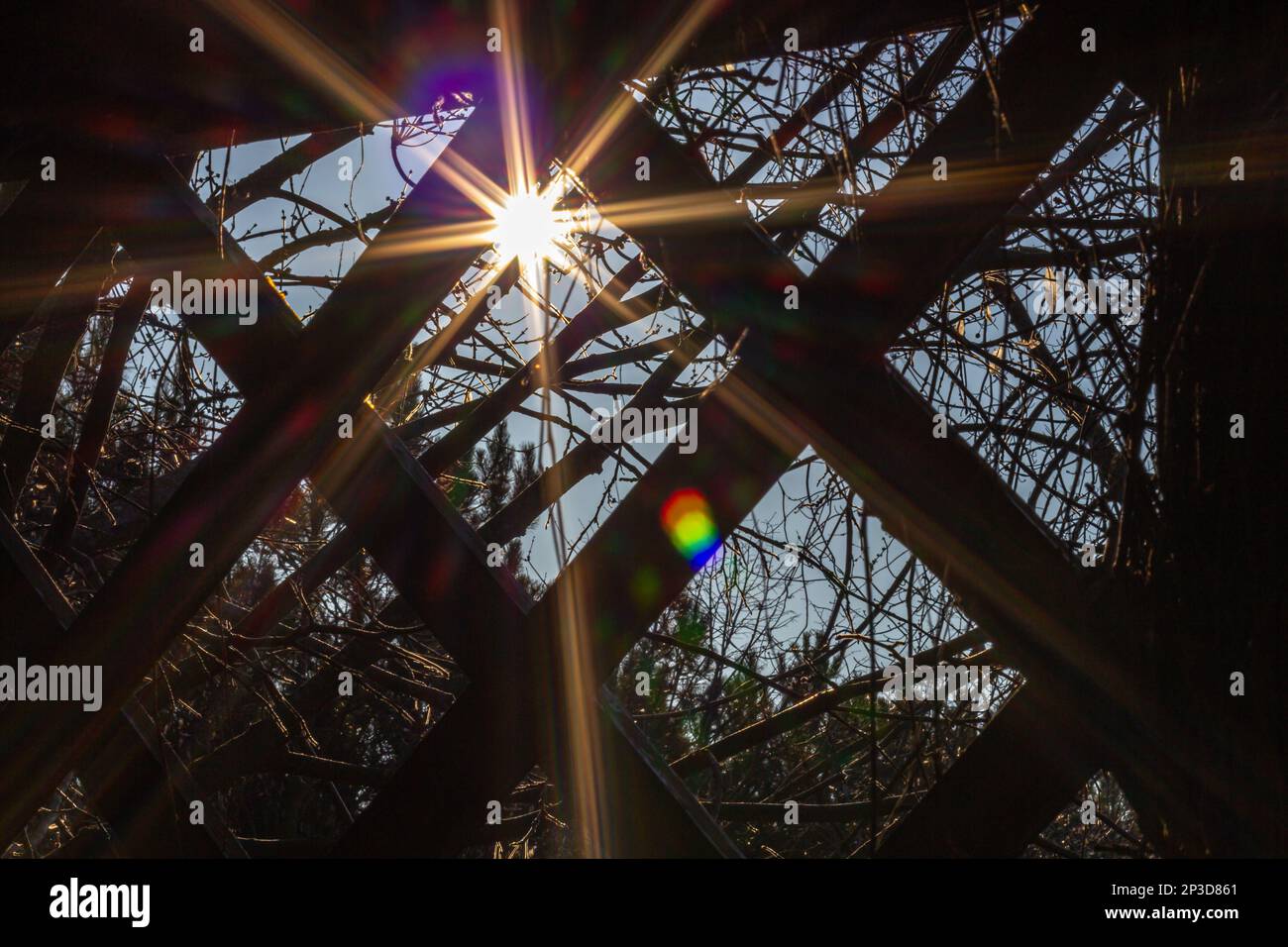 The sun through the trees. A beautiful park in spring with the bright ...