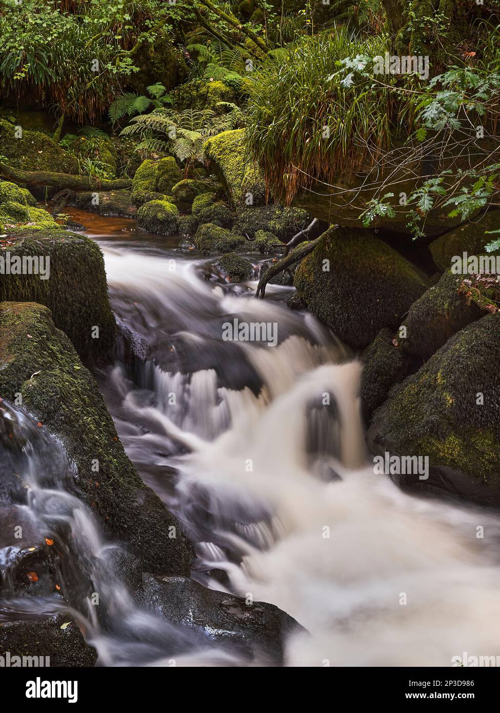Long exposure of Golitha Falls; River Fowey Stock Photo - Alamy