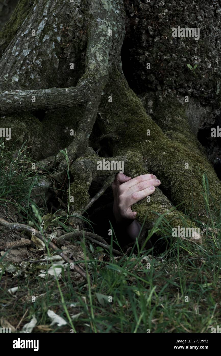 A spooky zombie hand, emerging from under a tree Stock Photo - Alamy