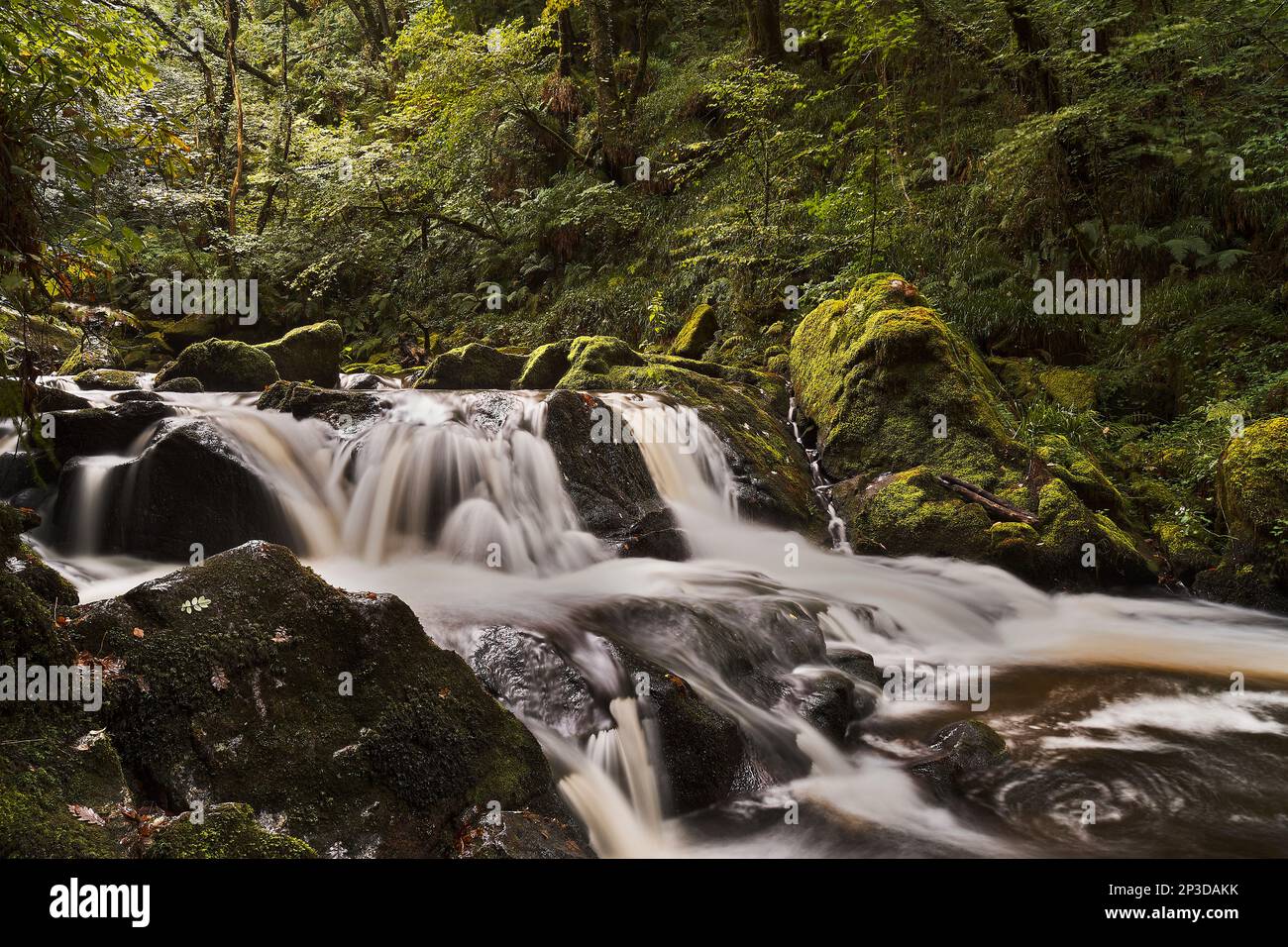 Long exposure of Golitha Falls; River Fowey; Cornwall Stock Photo - Alamy