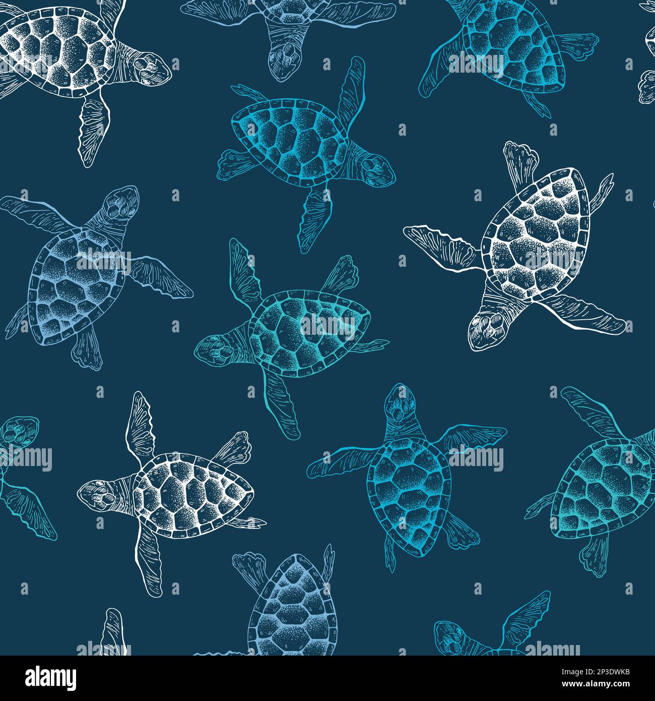 Green Sea Turtle Shell Pattern