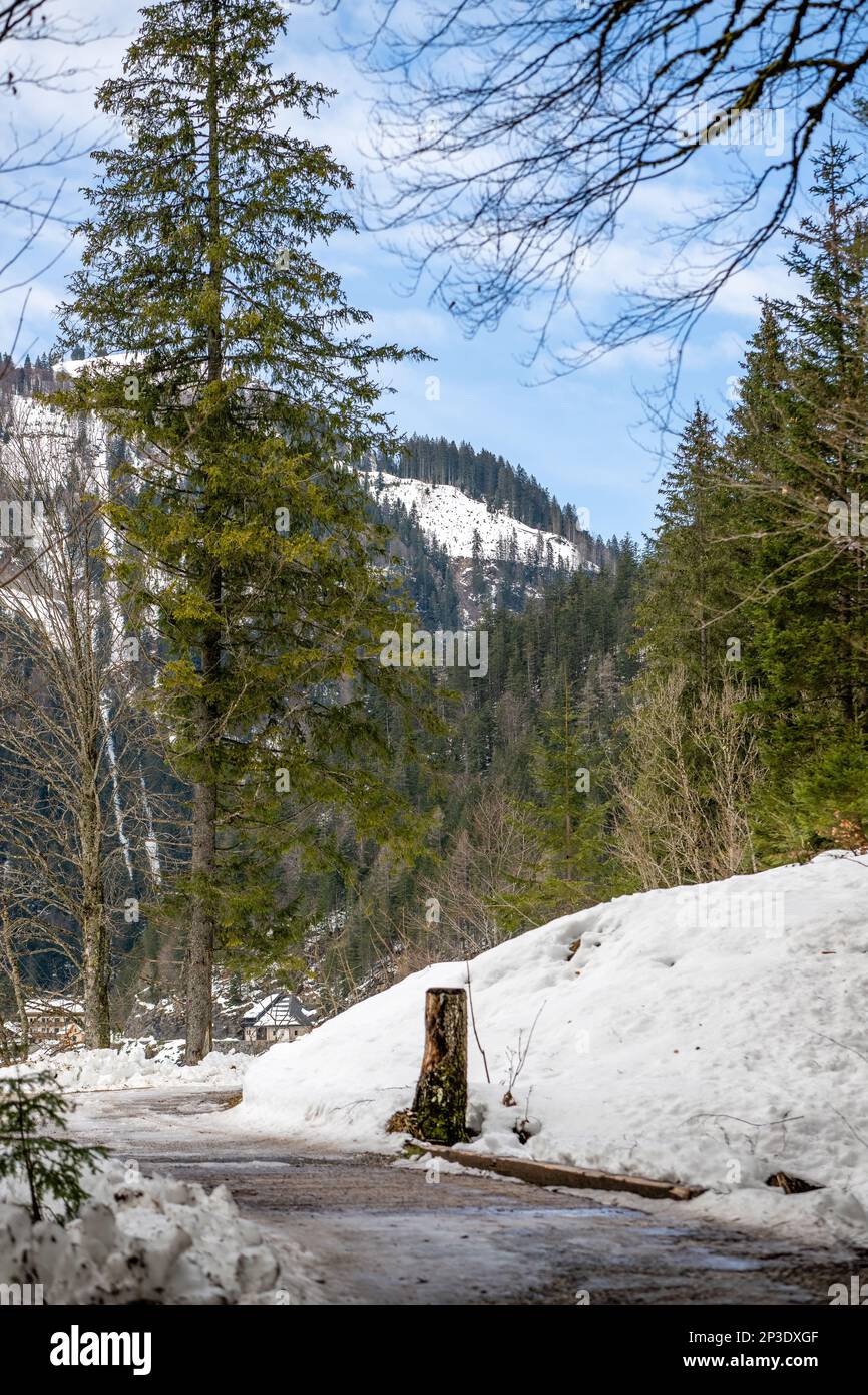 The freezing cold temperatures Austrian winter start to rise and with ...