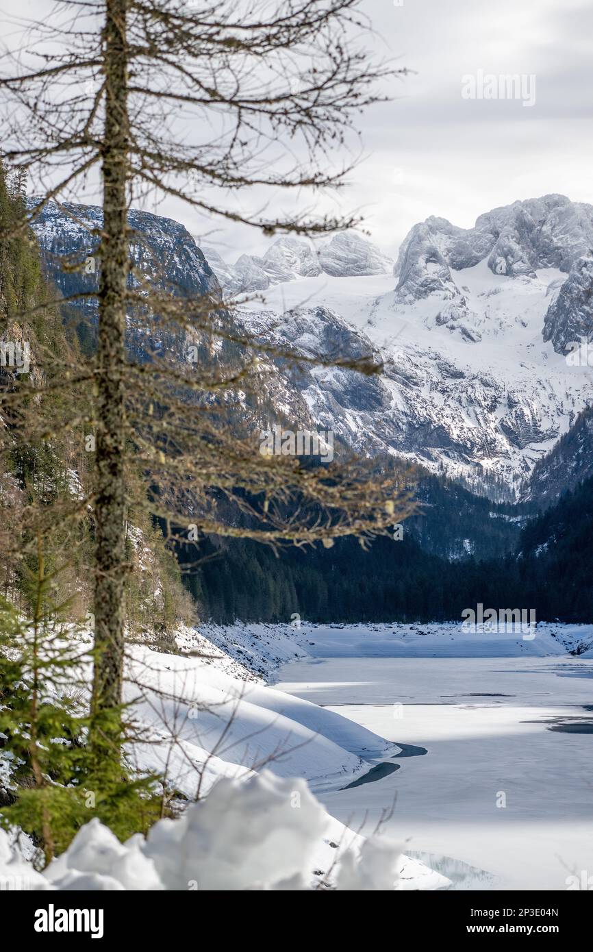 The freezing cold temperatures Austrian winter start to rise and with ...