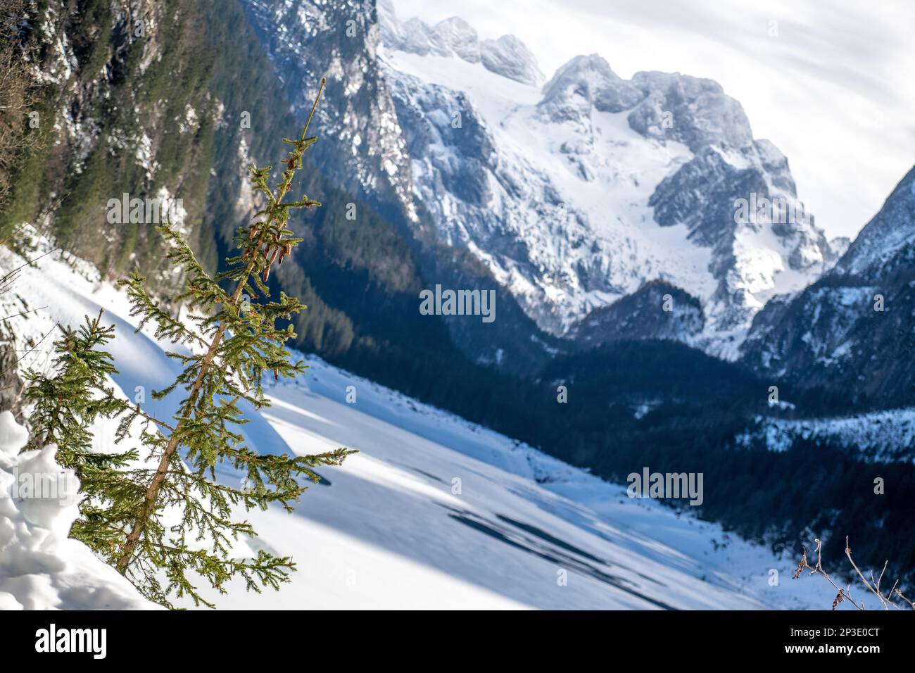 The freezing cold temperatures Austrian winter start to rise and with ...