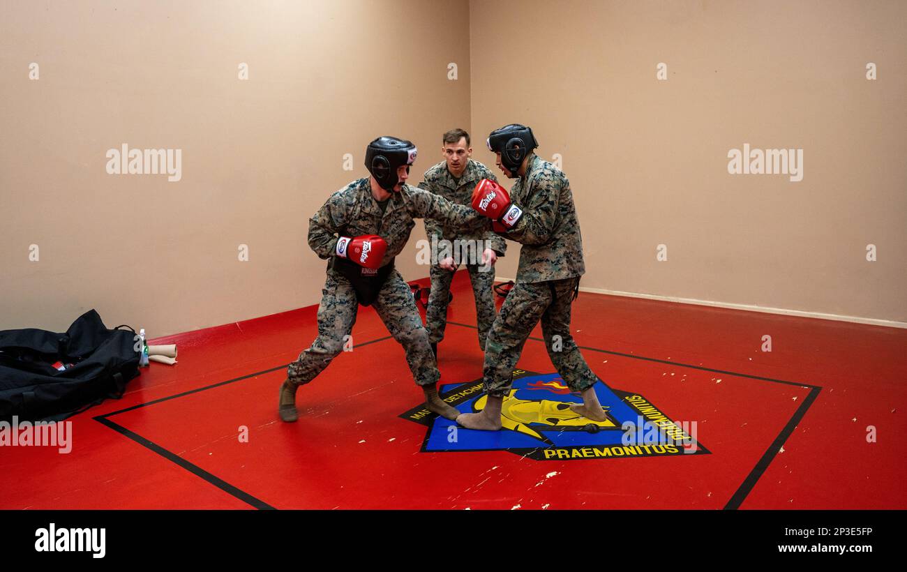 U.S. Marines from various units execute lower body strikes during a ...