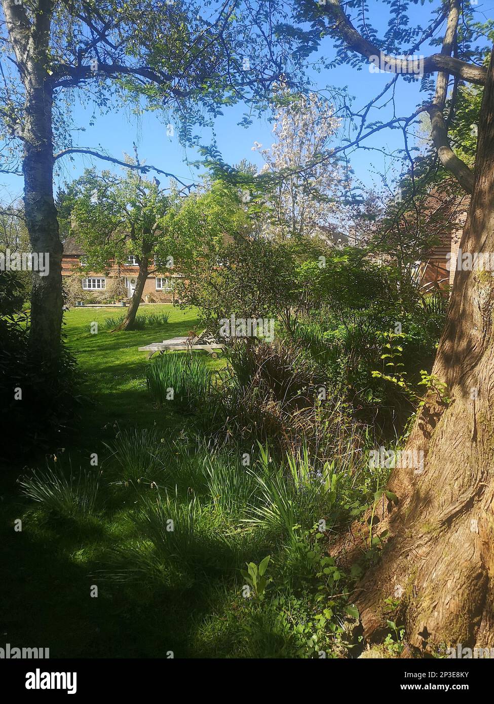 View of a country garden with a farmhouse in the distance Stock Photo ...