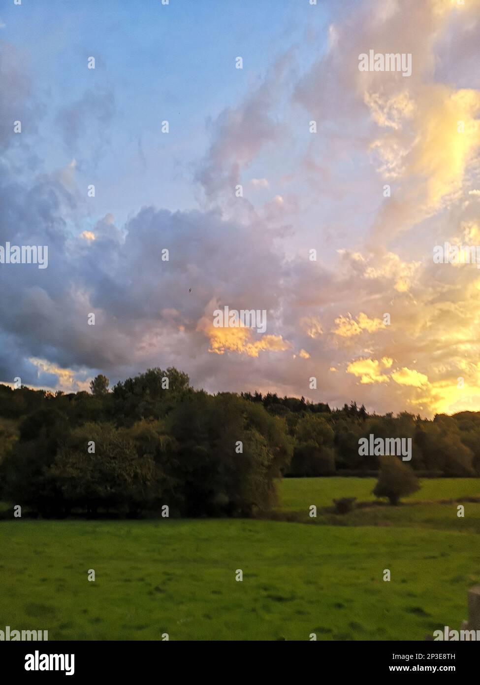 Over woods hi-res stock photography and images - Alamy