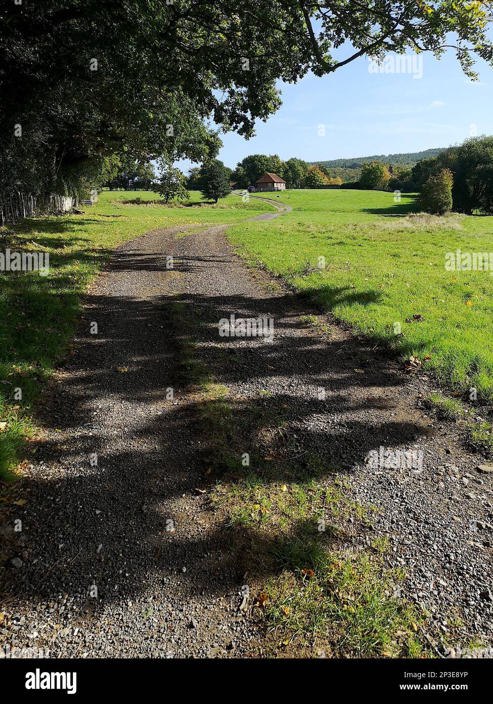 View of a shingle track running through a meadow with a barn in the ...