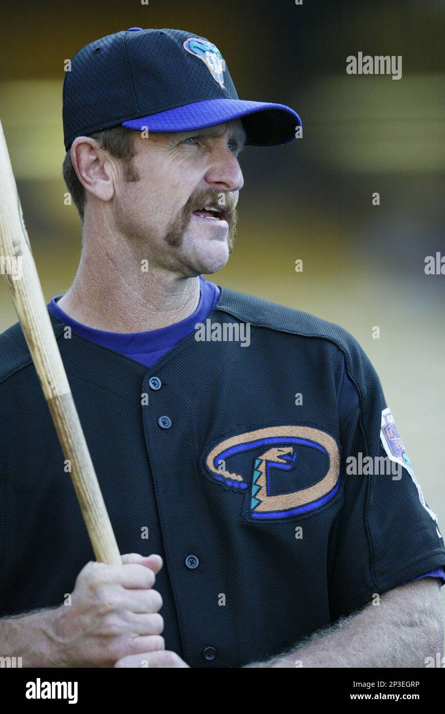 Arizona Diamondbacks coach Robin Yount before a 2002 MLB season game ...