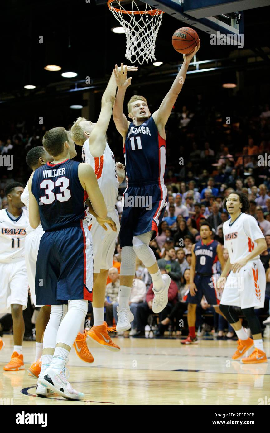 January 15, 2015: Gonzaga Bulldogs forward Domantas Sabonis (11) during the NCAA Men's ...