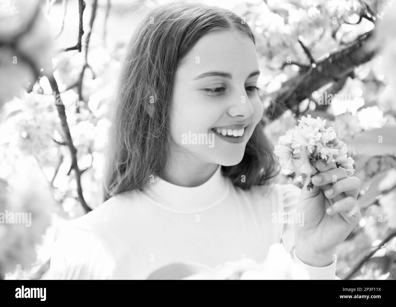 happy child at sakura flower bloom in spring Stock Photo - Alamy