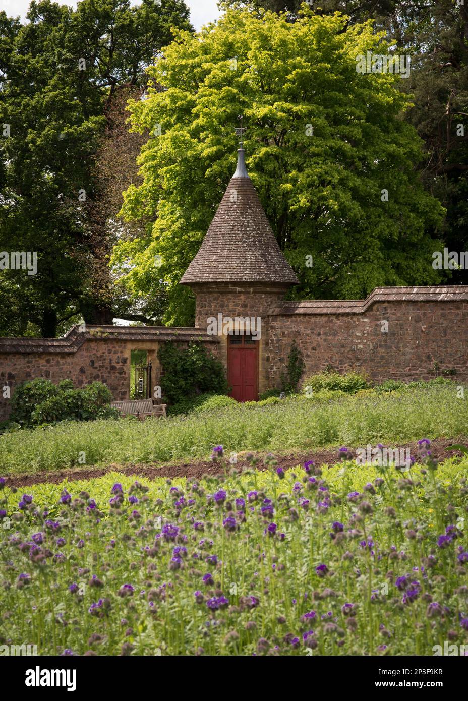 View of the inside of the kitchen garden at Knightshayes Estate in ...