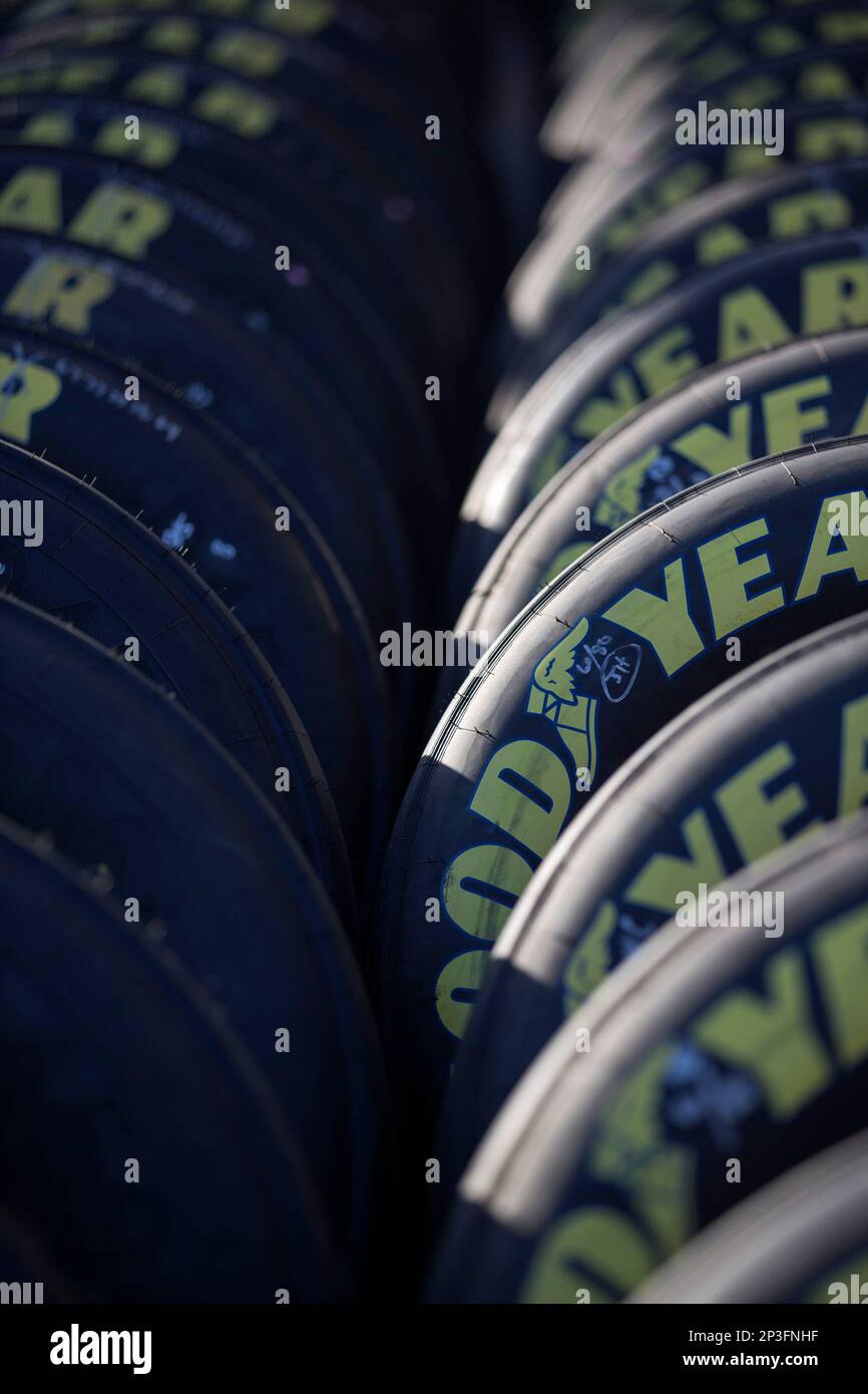 Feb. 13, 2015 - Daytona Beach, FL, U.S. - Daytona Beach, FL - Feb 13 ...