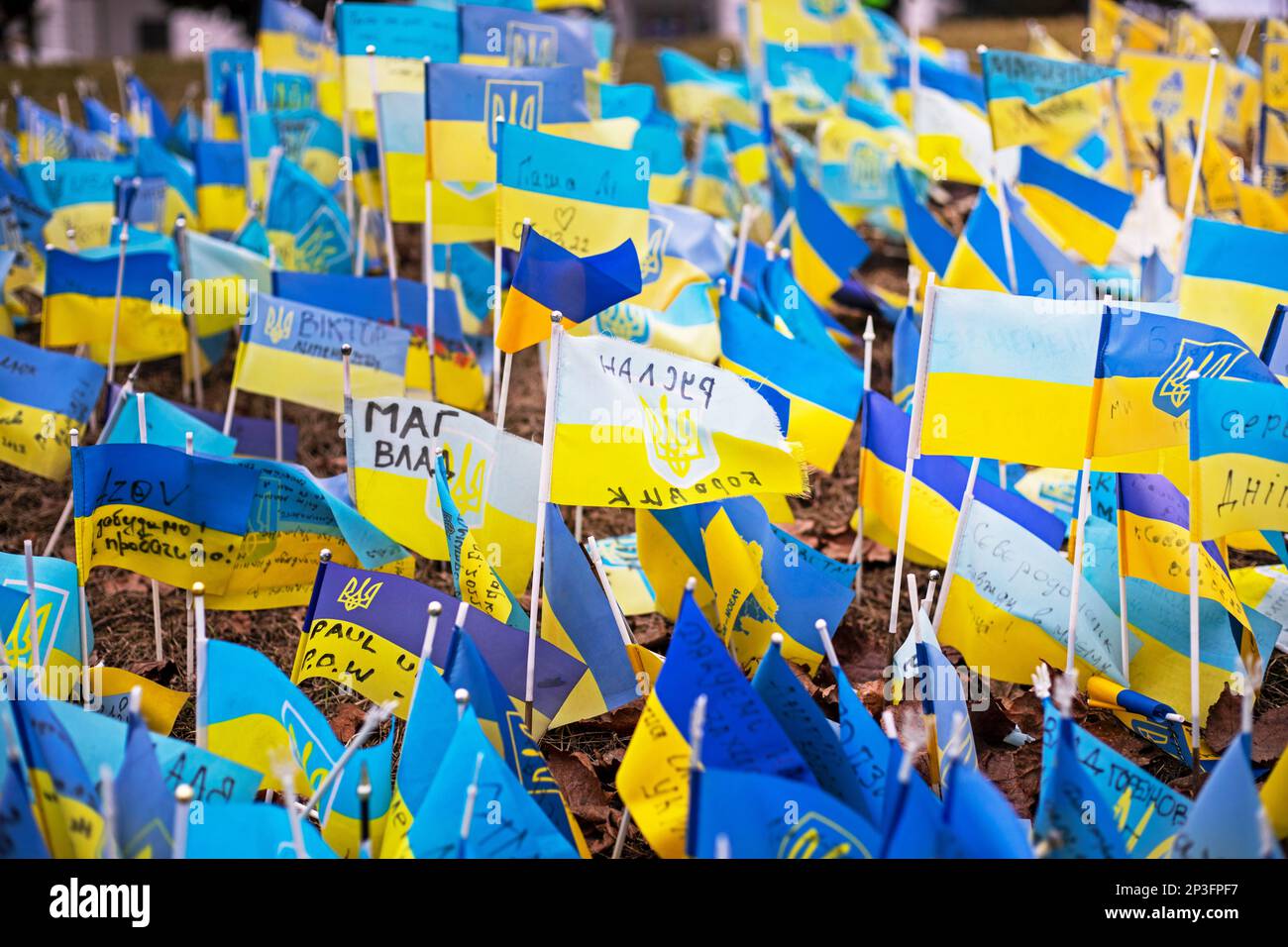 blue-yellow flags of Ukraine with a trident as a symbol of those who ...