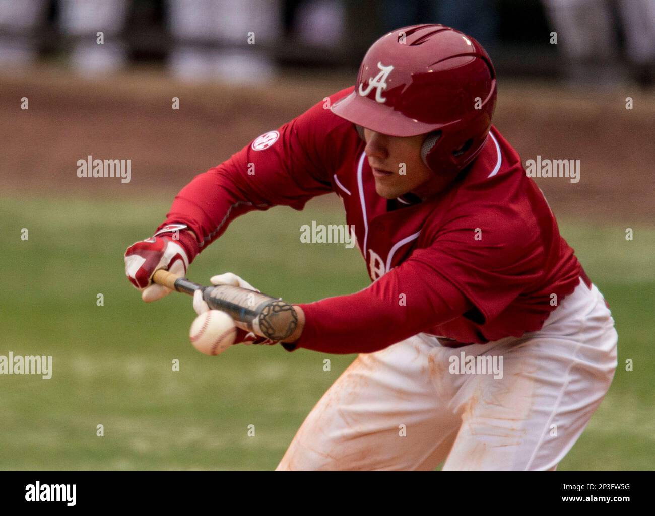Alabama's Casey Hughston bunts for a single in the third inning to load ...