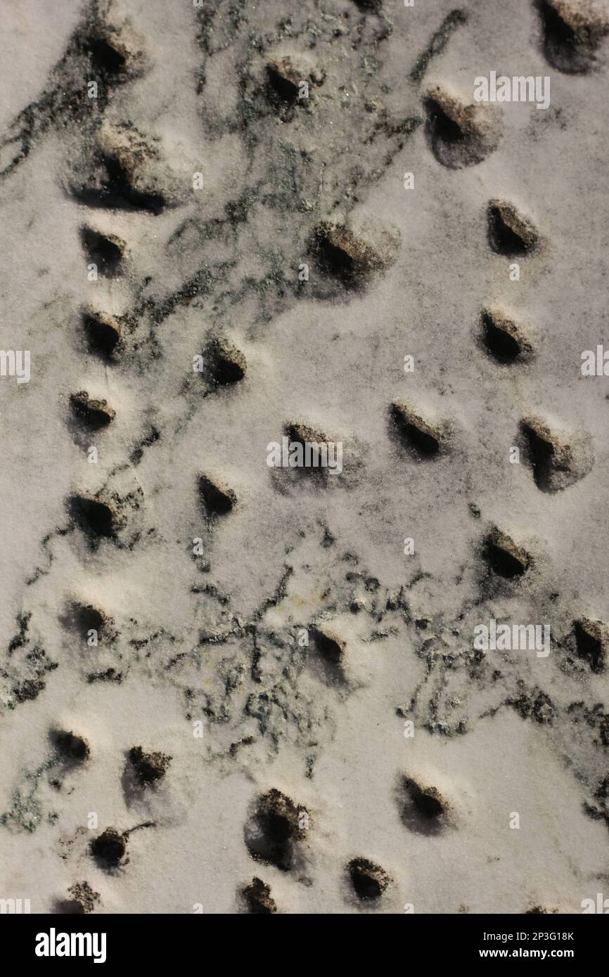 An interesting and repeating pattern carved into natural stone Stock ...