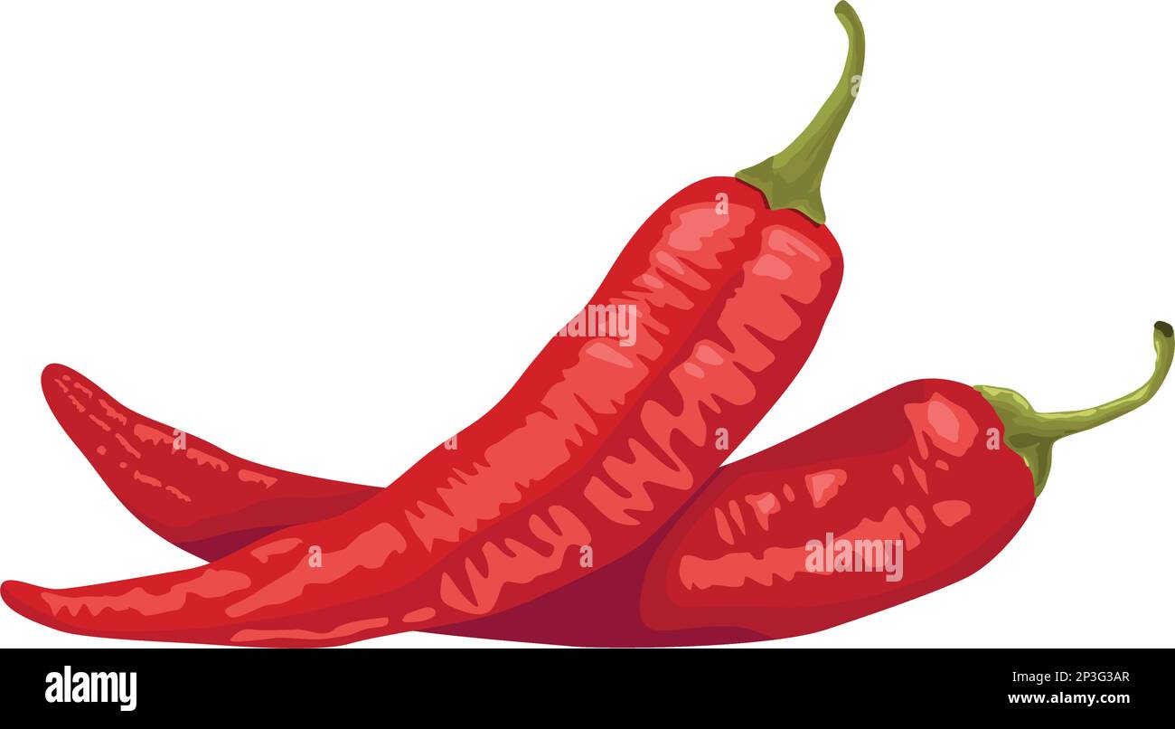 red chillis hot vegetables Stock Vector Image & Art - Alamy