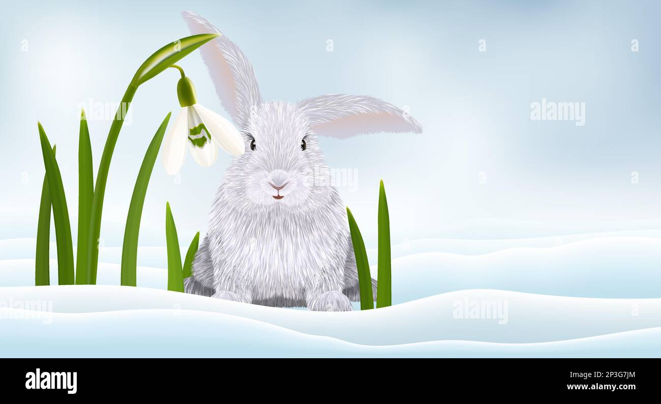 Easter cute rabbit and snowdrops on snow background vector illustration ...