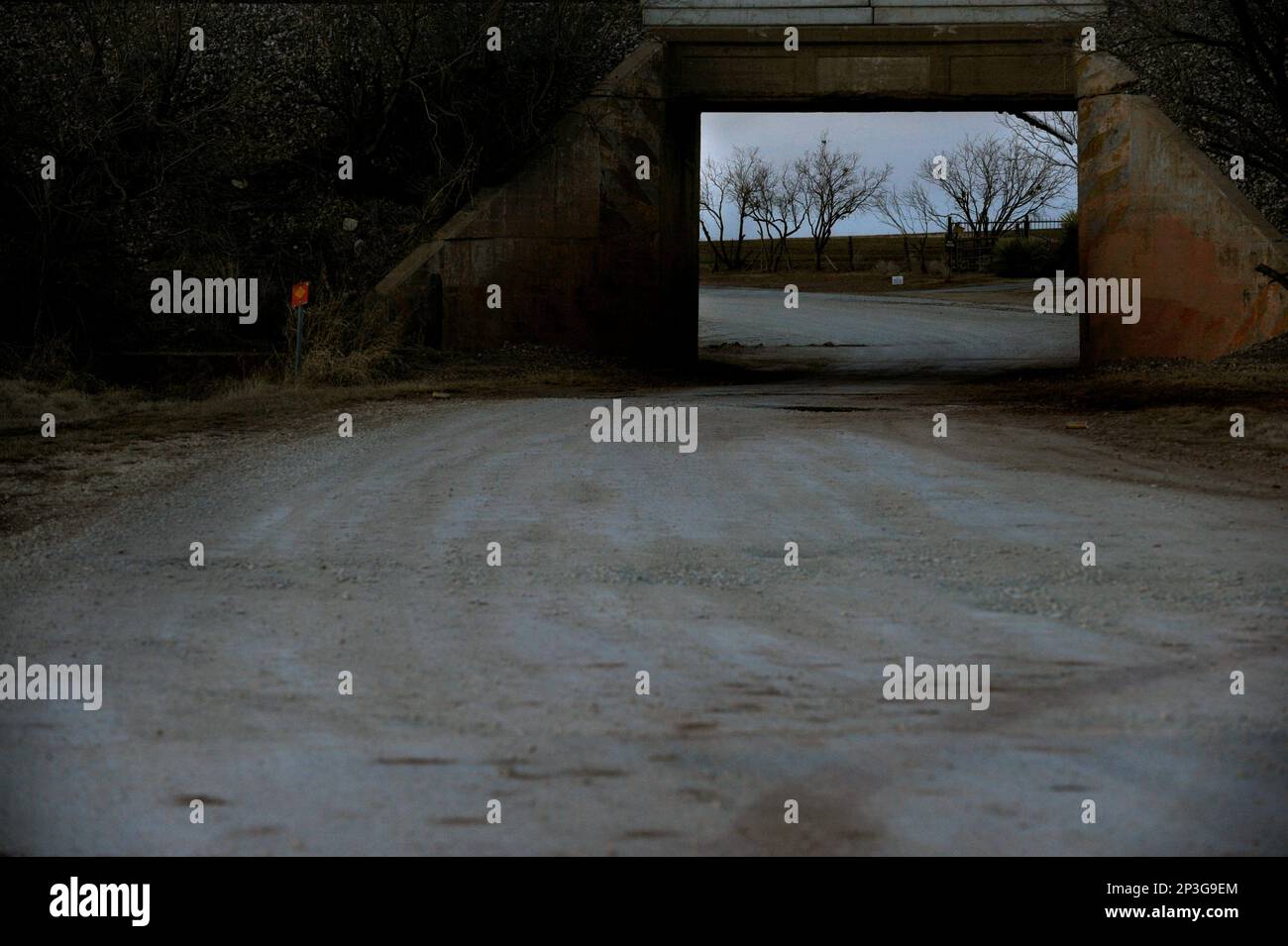 ADVANCE FOR USE SUNDAY, FEB. 15 - This photo taken Jan. 28, 2015, shows ...