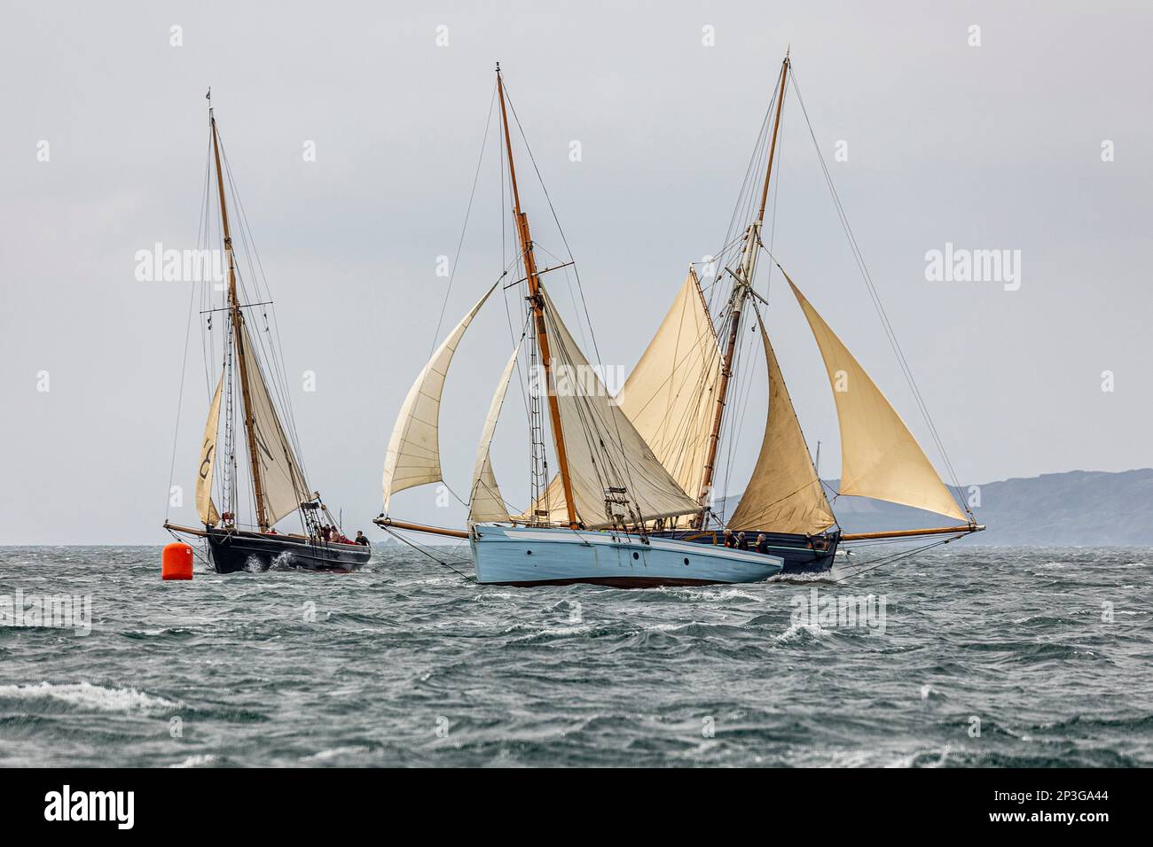 Classic yachts ad Bristol Pilot cutters Racing during Falmouth Classics ...