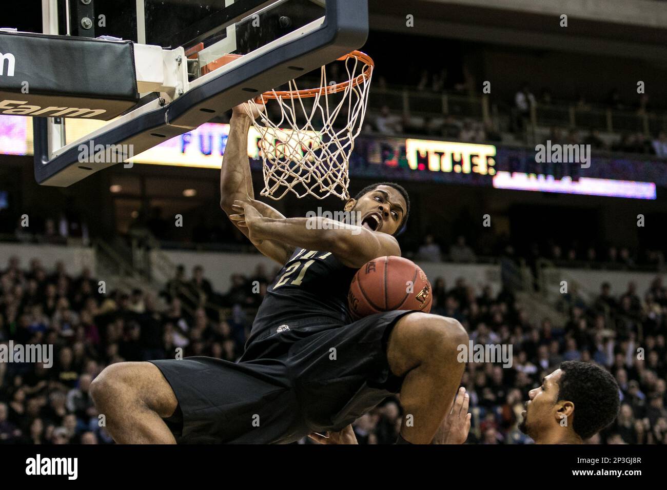 February 7 2015: Pittsburgh Panthers Forward Sheldon Jeter (21) yells ...
