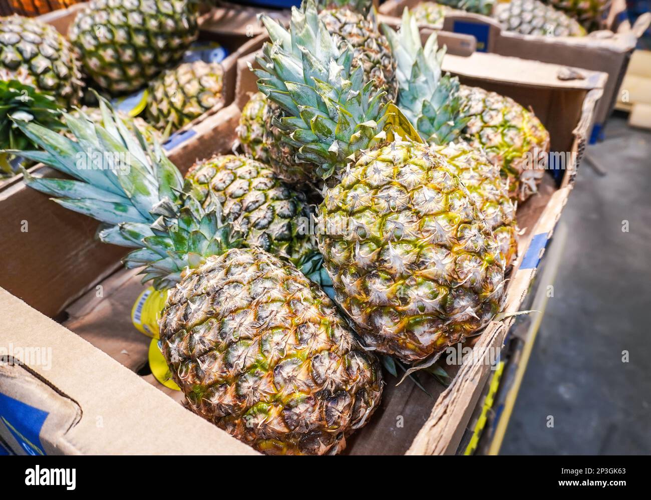 Fresh pineapples ready for sale at the chain superstore Stock Photo - Alamy