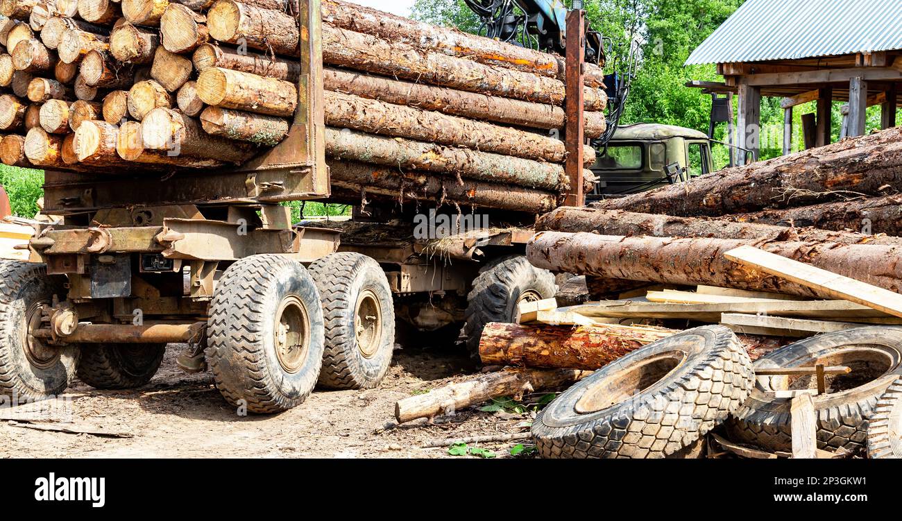 Timber truck brought timber to the sawmill. Timber carrier with sawn ...