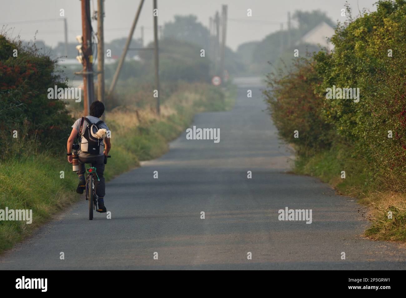Man cycling along a quiet road with a small white dog in his backpack ...