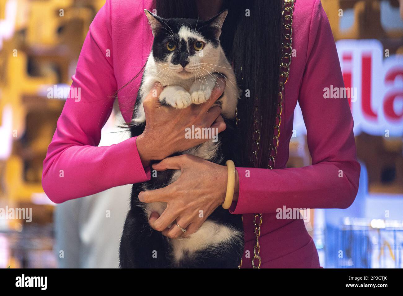 Bangkok, Thailand. 05th Mar, 2023. A judge shows off one of the "Cat ...