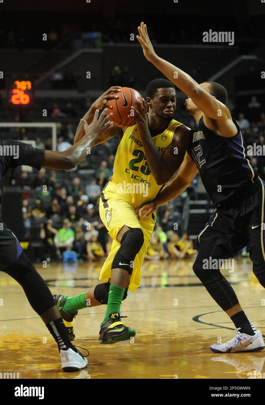 February 4, 2015: Oregon forward Elgin Cook during the Oregon Ducks ...