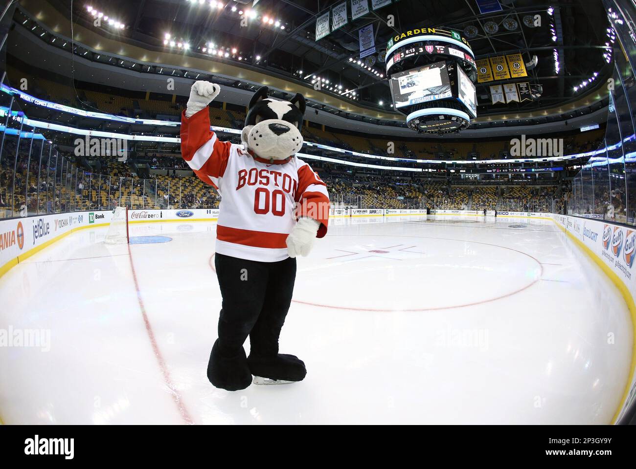 Harvard Crimson Mascot