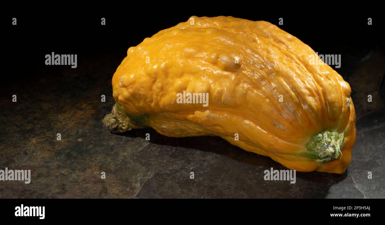 Yellow squash that's grown short and fat on a brown surface Stock Photo ...