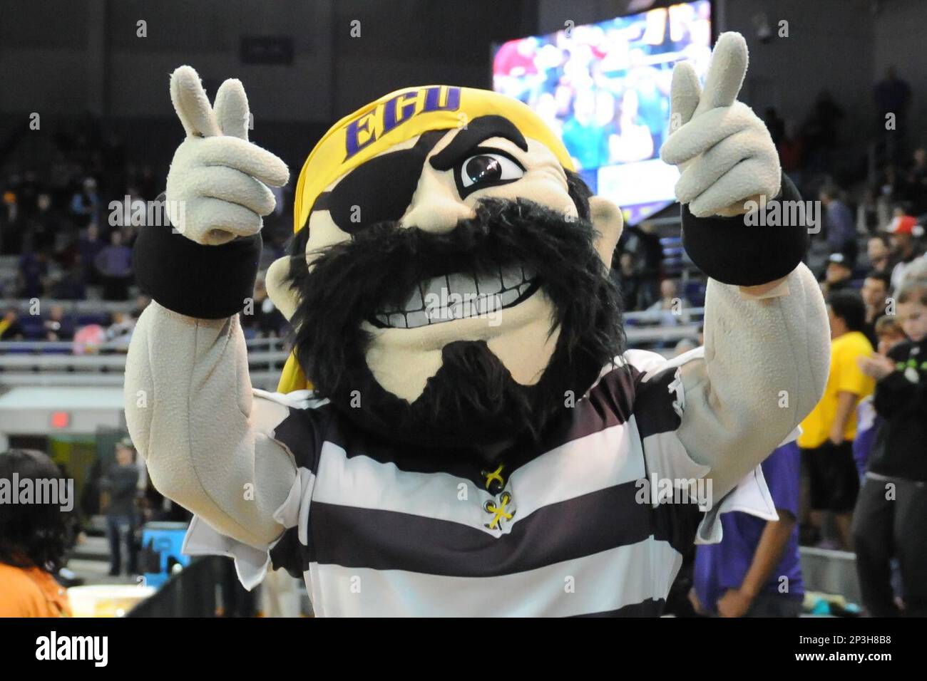 February 1 2015: East Carolina mascot Pee Dee after the game between ...