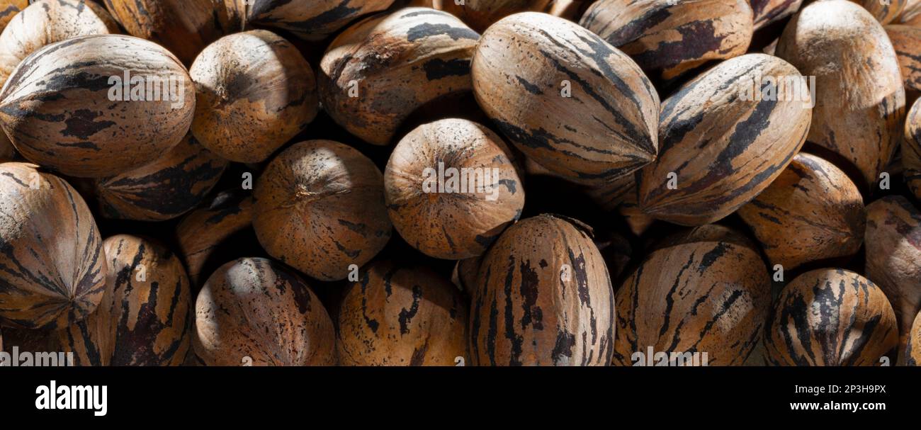Close look at a big stack of pecans still in their shells Stock Photo ...