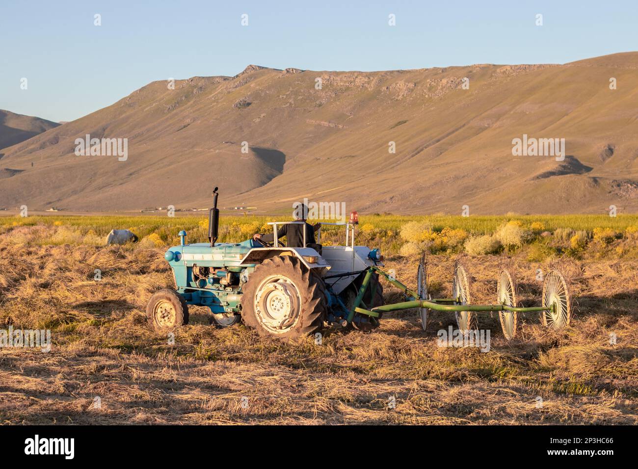 Rural Life in Motion A Farmer Tilling the Soil with a Tractor on a Vast ...