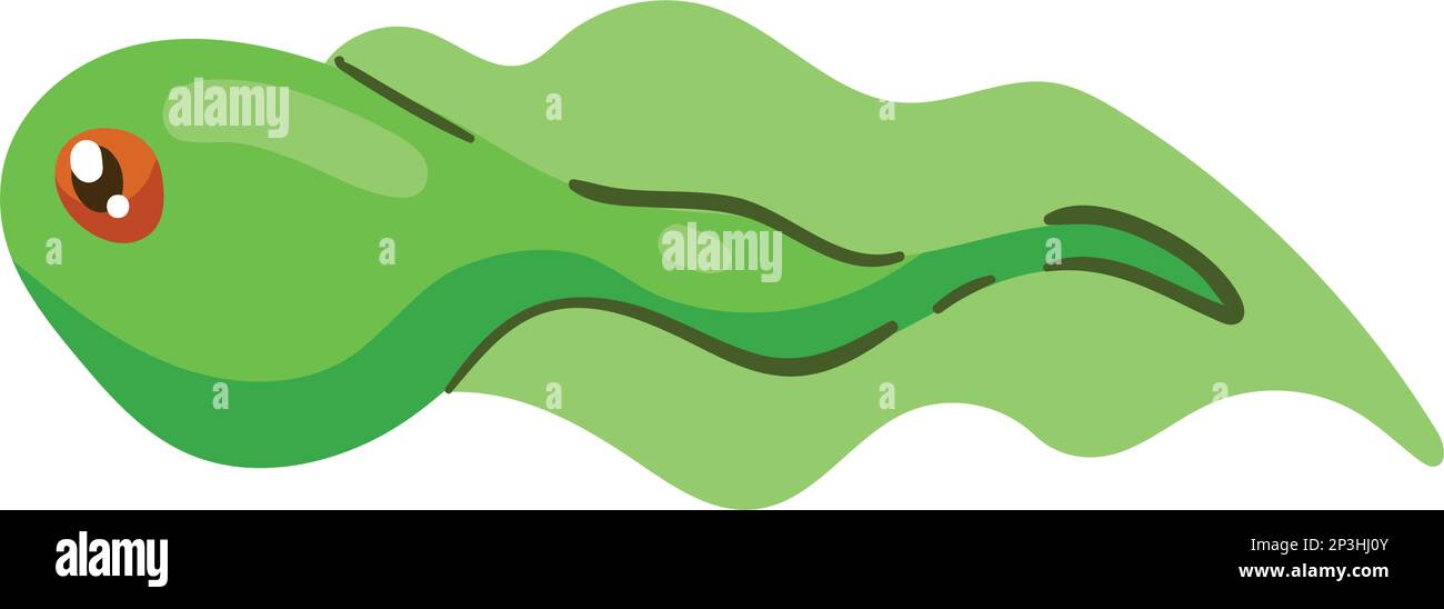 tadpole amphibian character Stock Vector Image & Art - Alamy