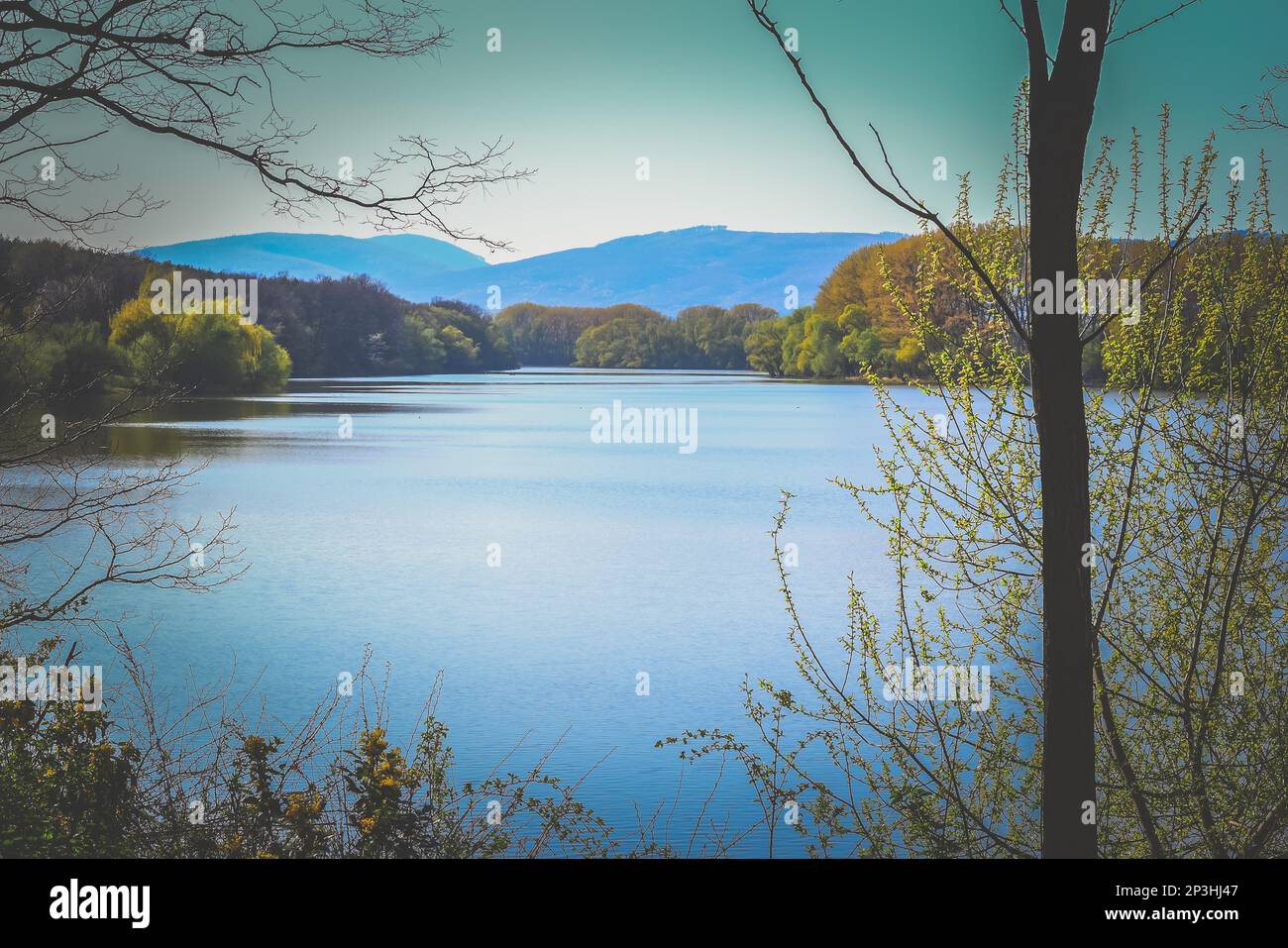beautiful spring scenery with pond and tree around Stock Photo - Alamy