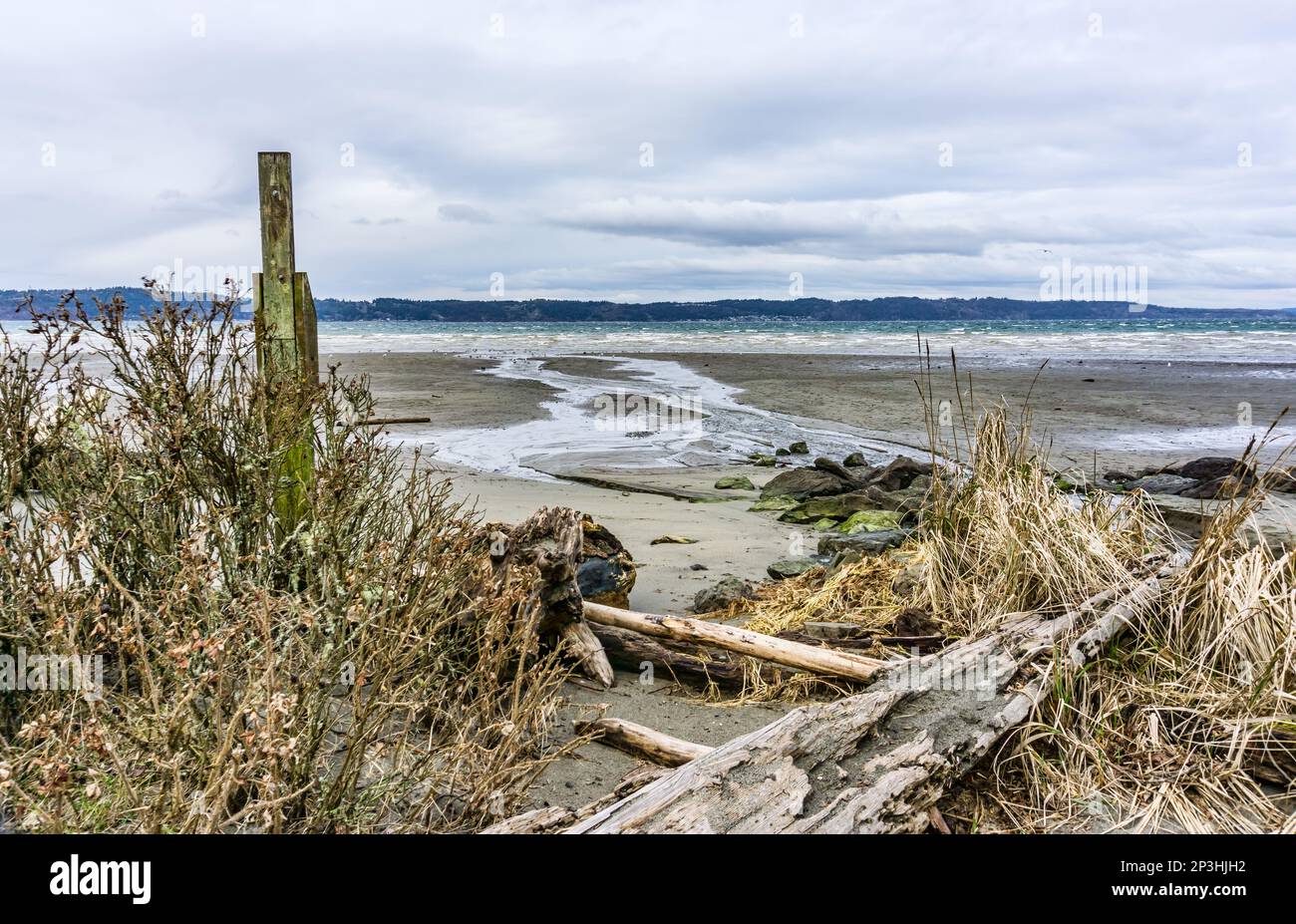 A stream flows into the Puget Sound at Dash Point State Park in ...