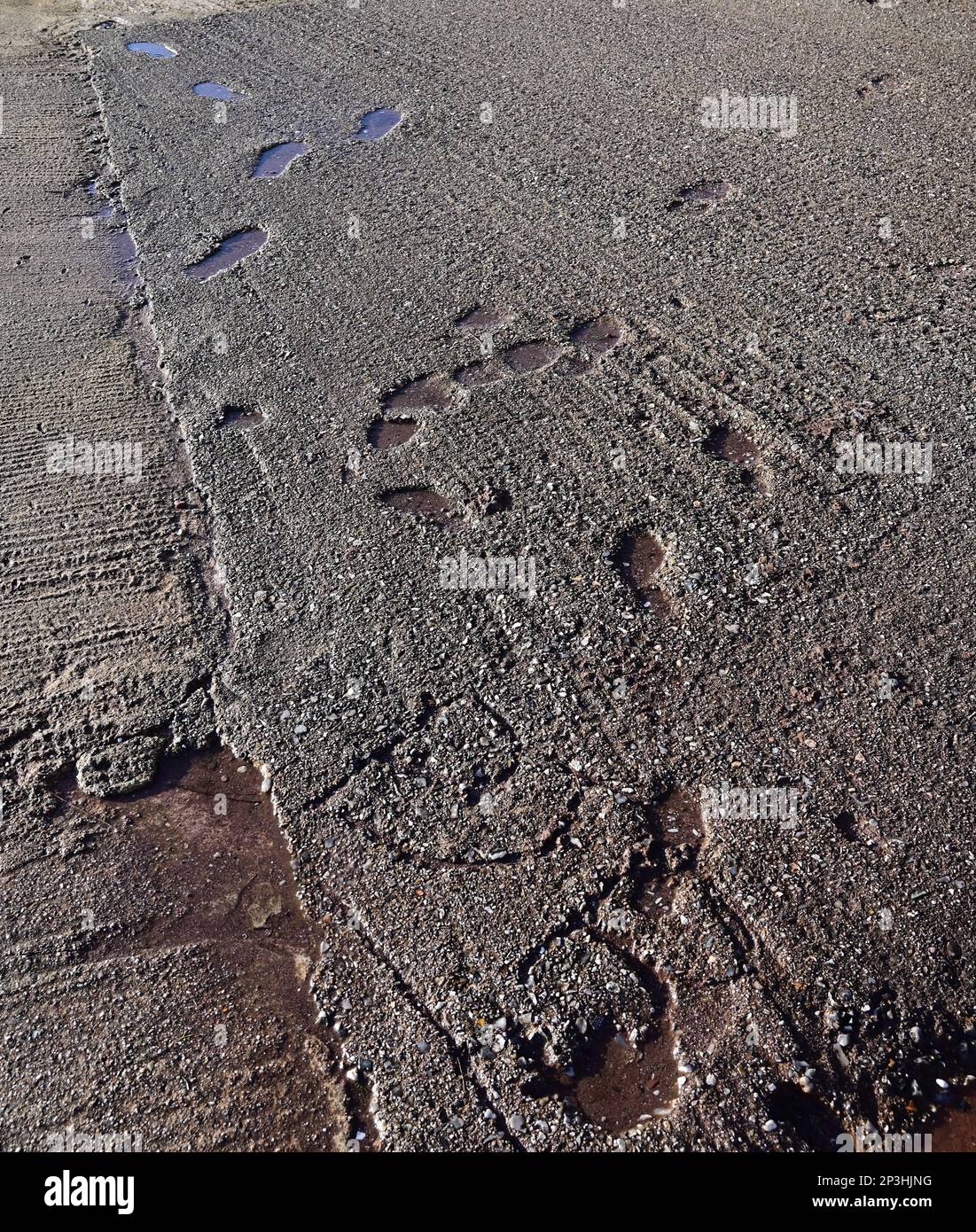 Footprints in concrete Stock Photo - Alamy