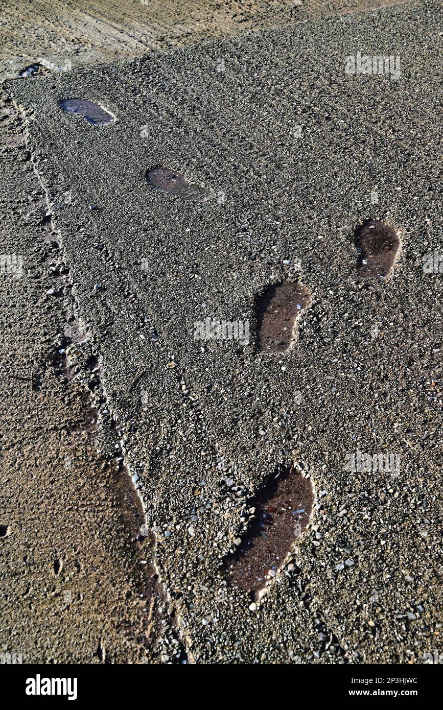 Footprints in concrete Stock Photo - Alamy