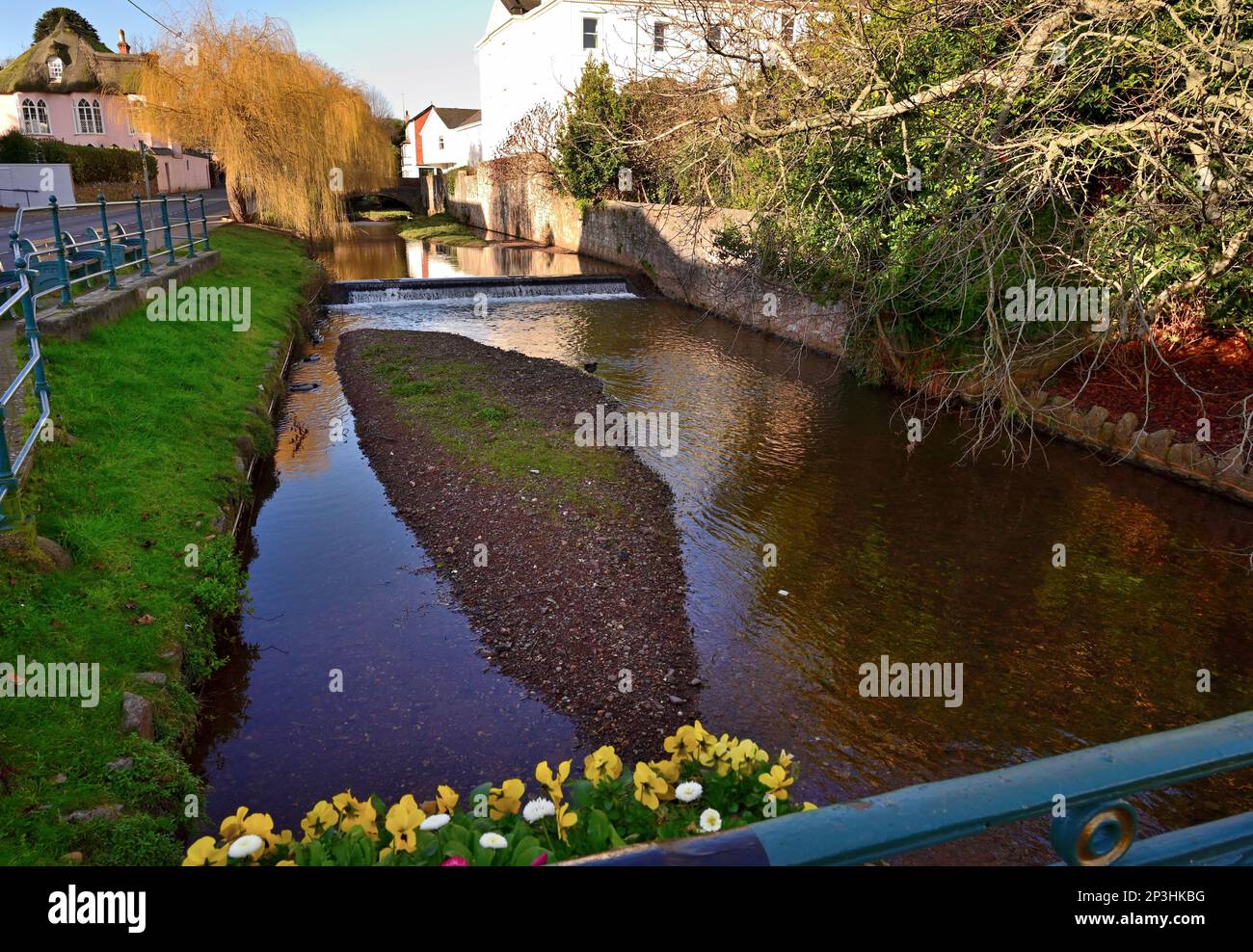 Winter sunshine on Dawlish Water (The Brook), Dawlish, South Devon ...
