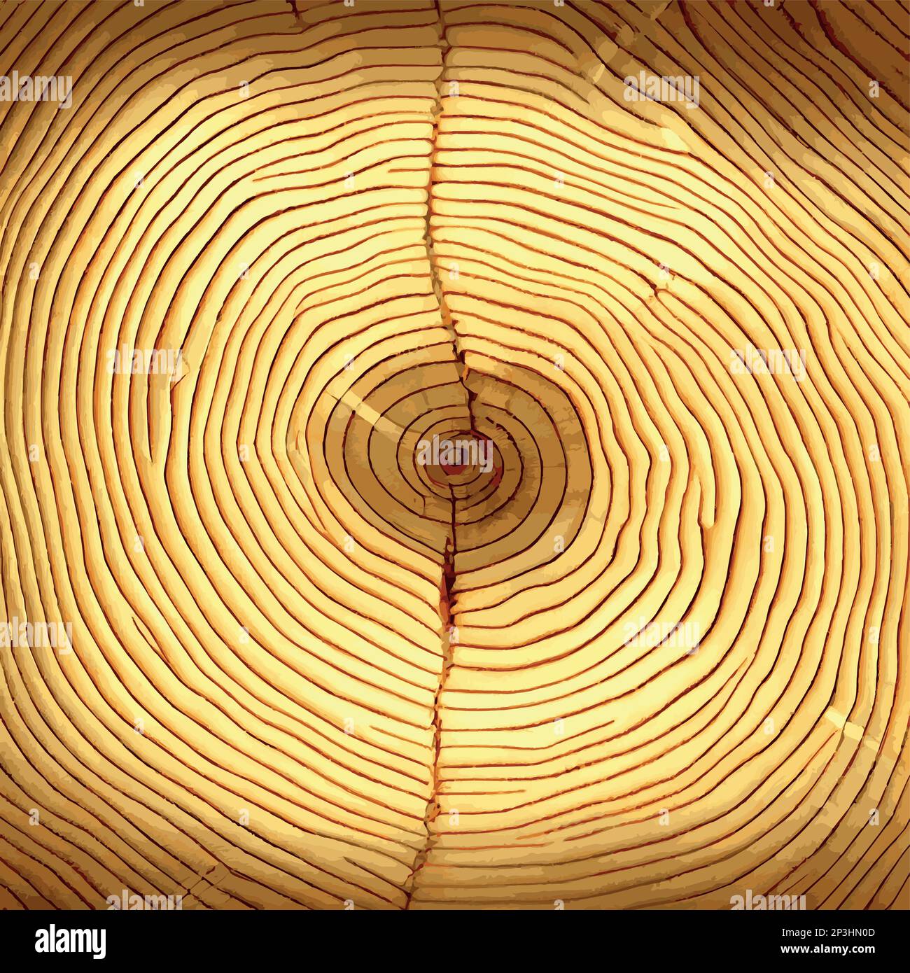 Realistic texture of the tallest green tree in the world, made in the ...