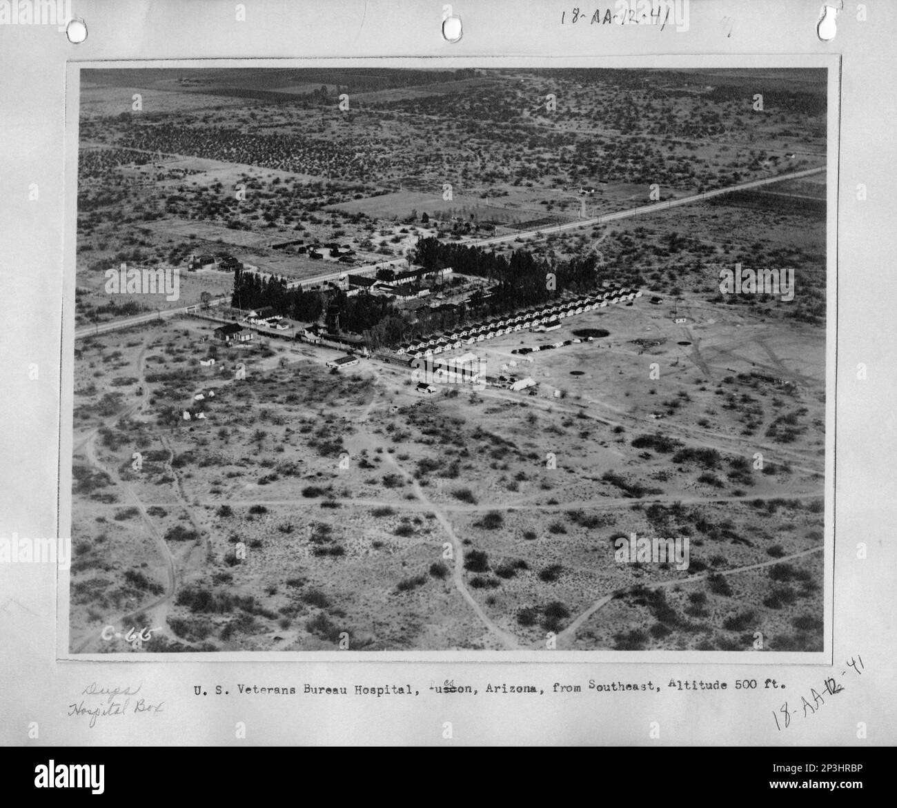 Arizona birds Black and White Stock Photos & Images - Alamy