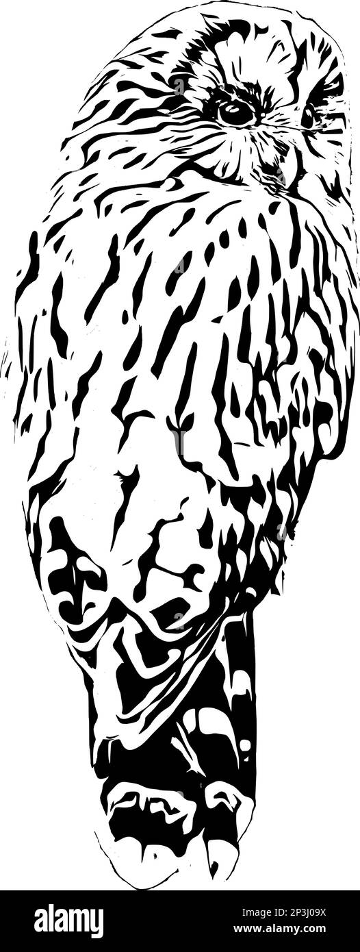 Portrait strix uralensis ural Black and White Stock Photos & Images - Alamy