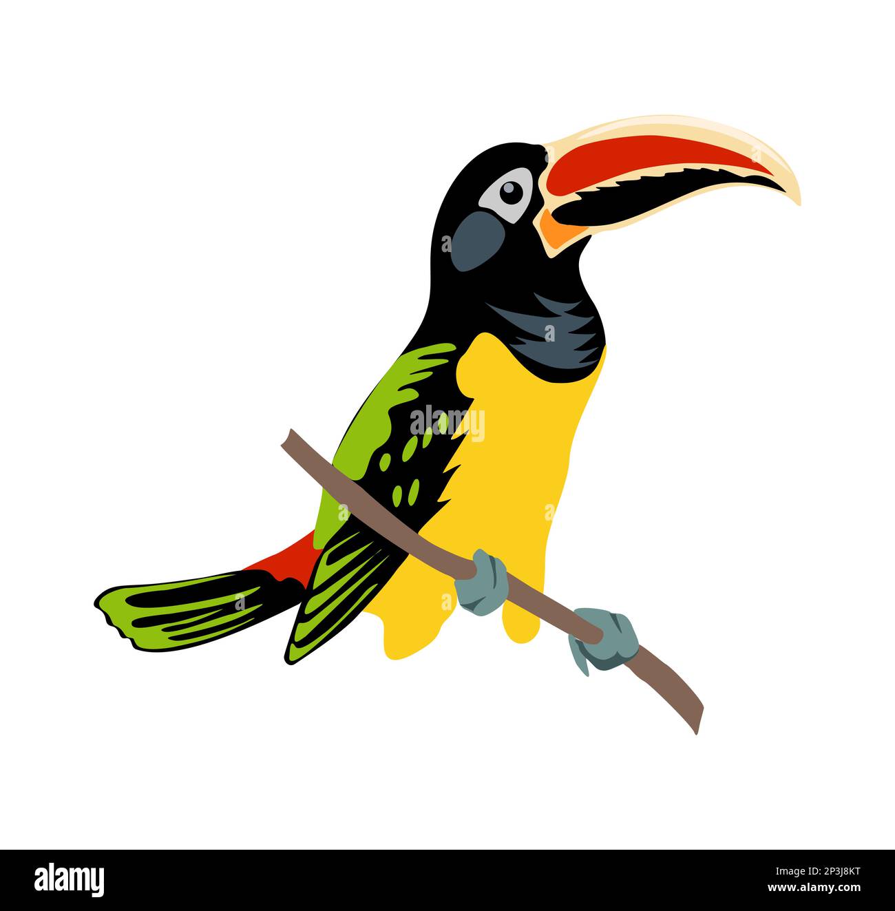Toucan cartoon vector realistic isolated on white Stock Vector Image ...