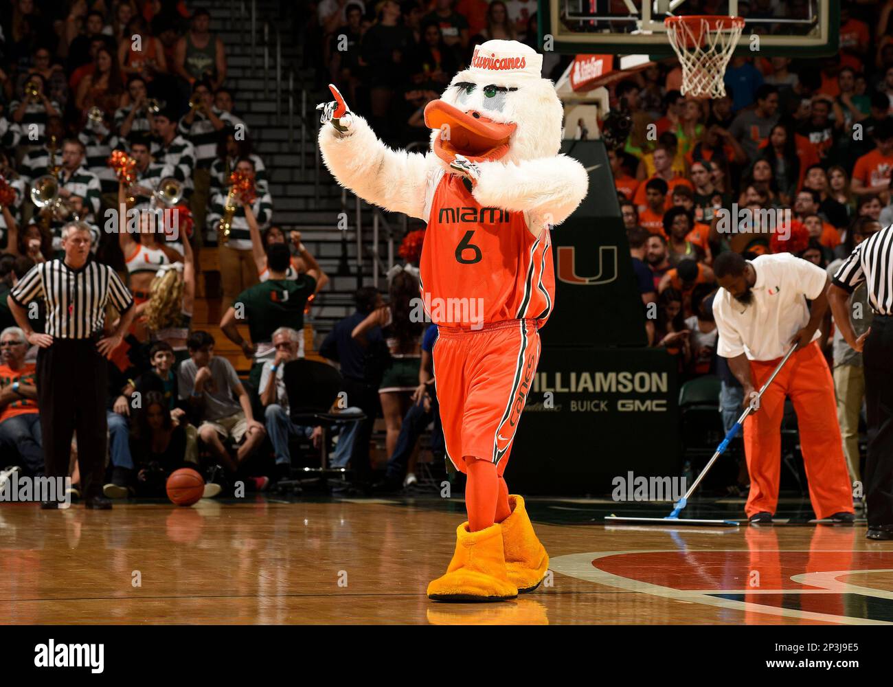 22 January 2015: University of Miami mascot, Sebastian the Ibis ...